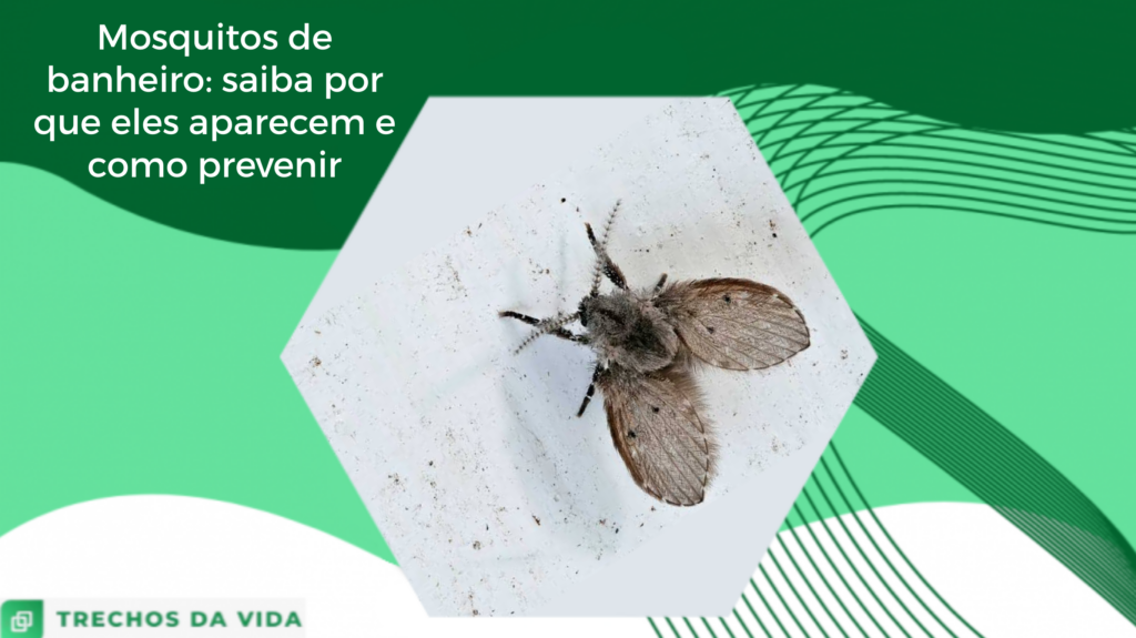 Mosquitos de banheiro: saiba por que eles aparecem