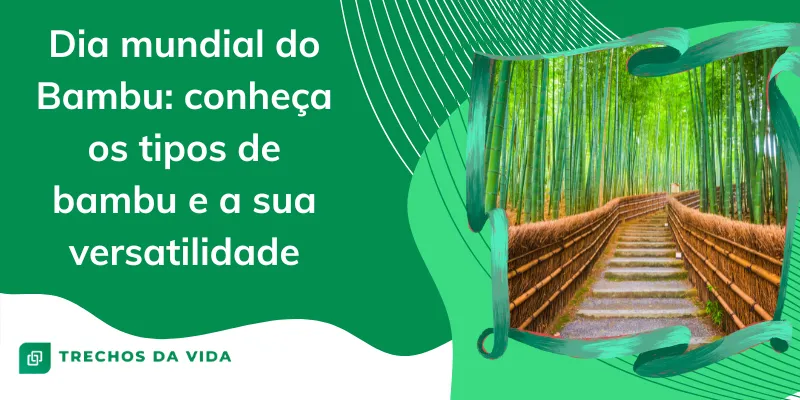 Dia Mundial do Bambu: Conheça os Tipos de Bambu e a Sua Versatilidade ...